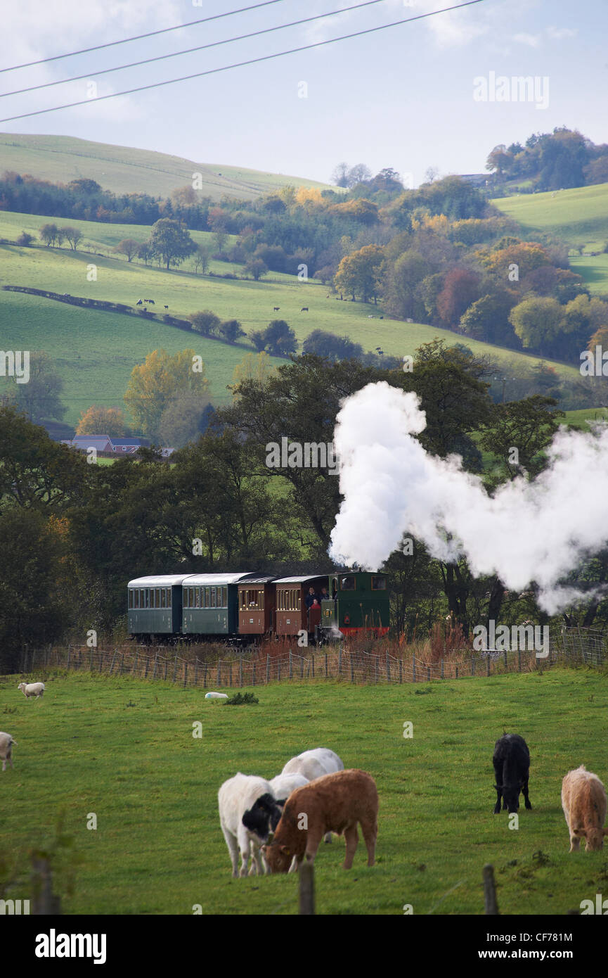 Welsh narrow gauge railway hi-res stock photography and images - Alamy