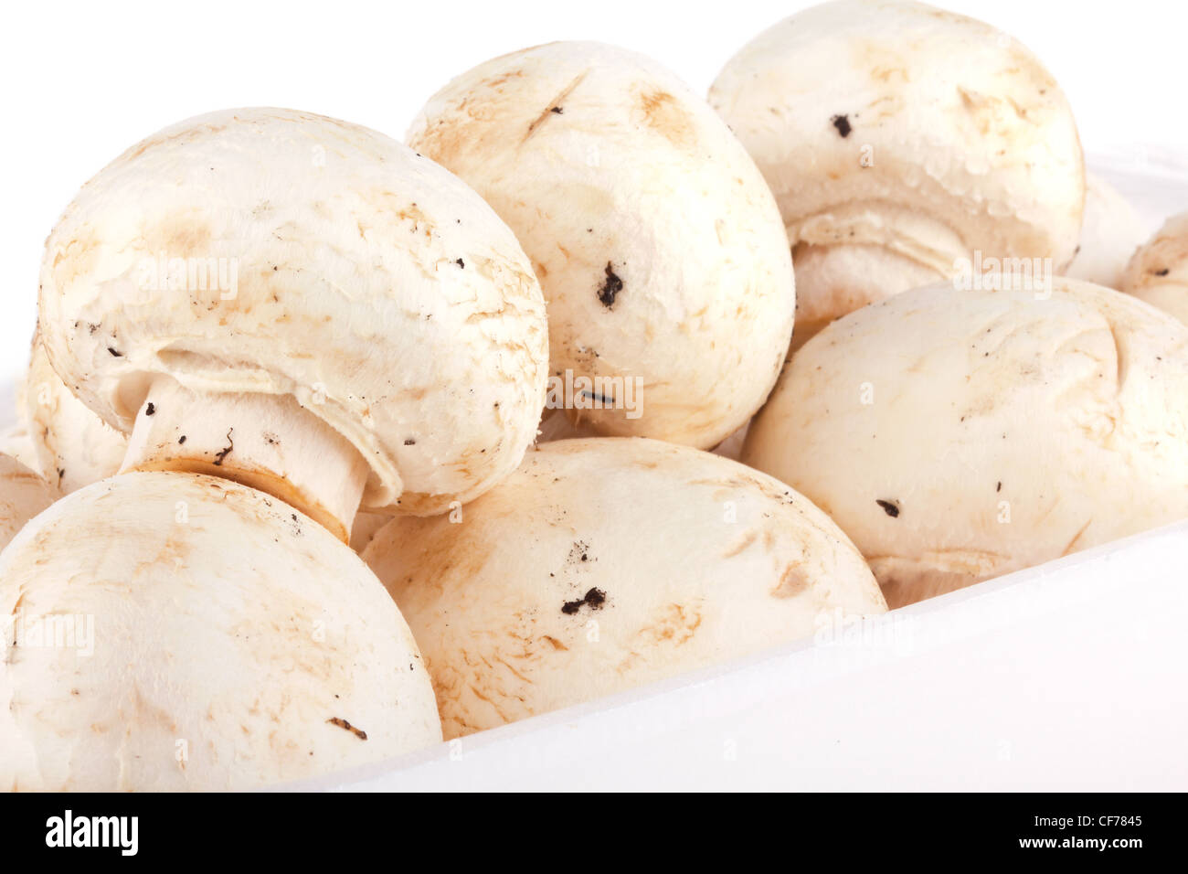 Champinons hi-res stock photography and images - Alamy
