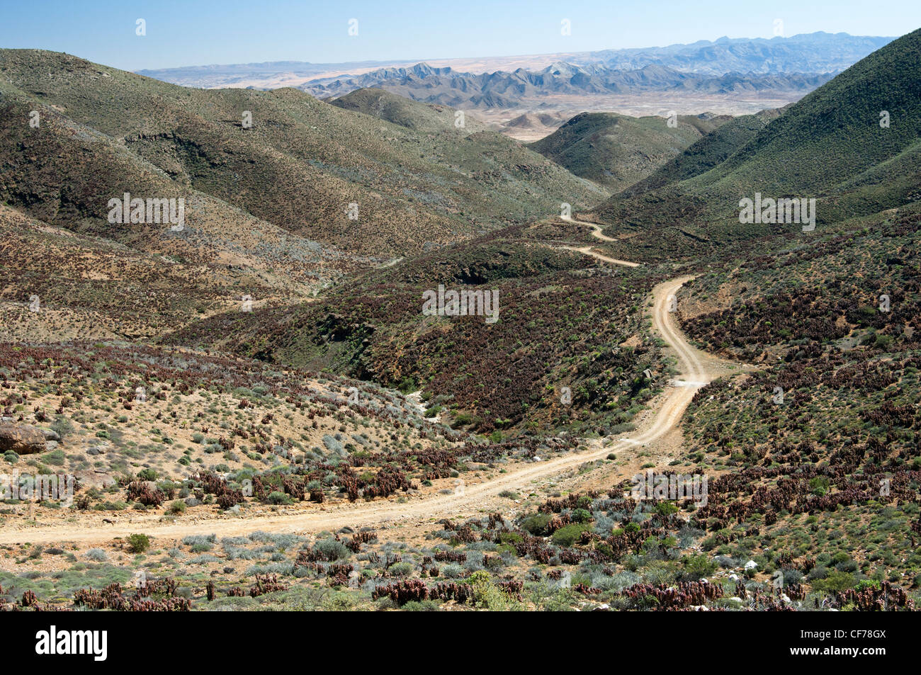 Semi arid region arid region hi-res stock photography and images - Alamy