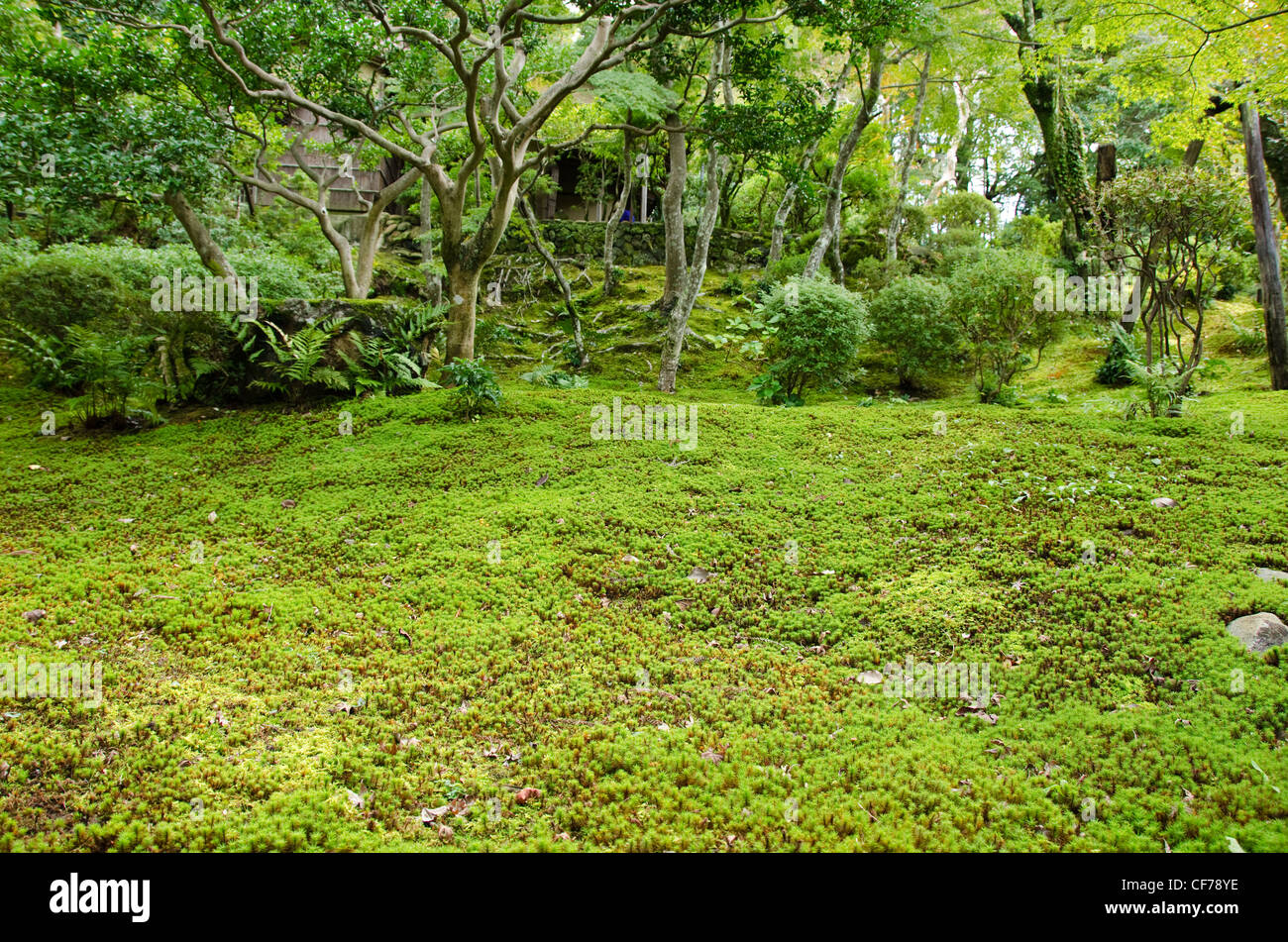 Japanese rural environment hi-res stock photography and images - Alamy