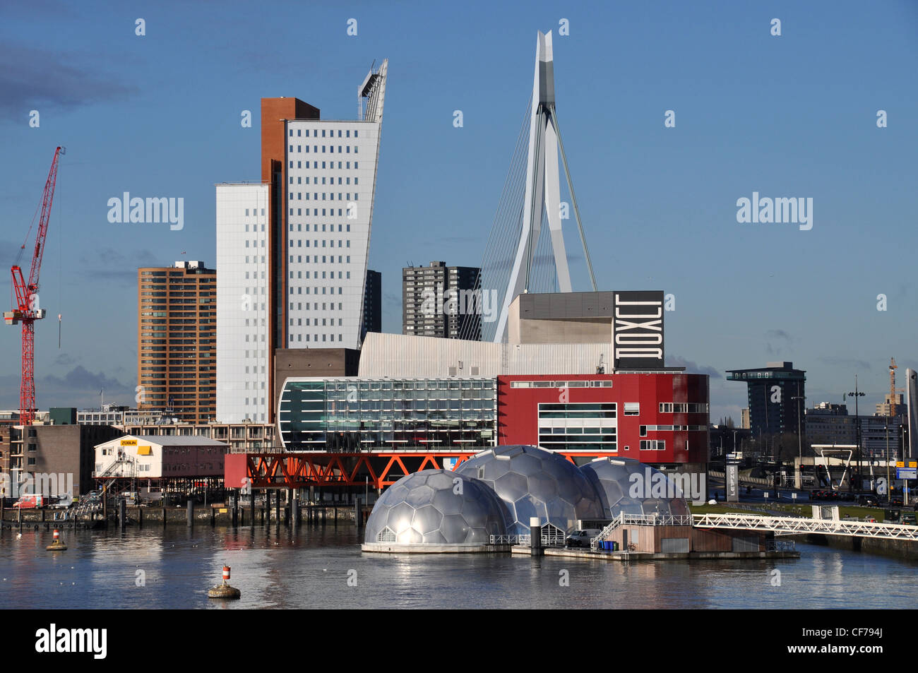 Rijnhaven cityscape, Rotterdam Zuid, Netherlands, Europe Stock Photo ...