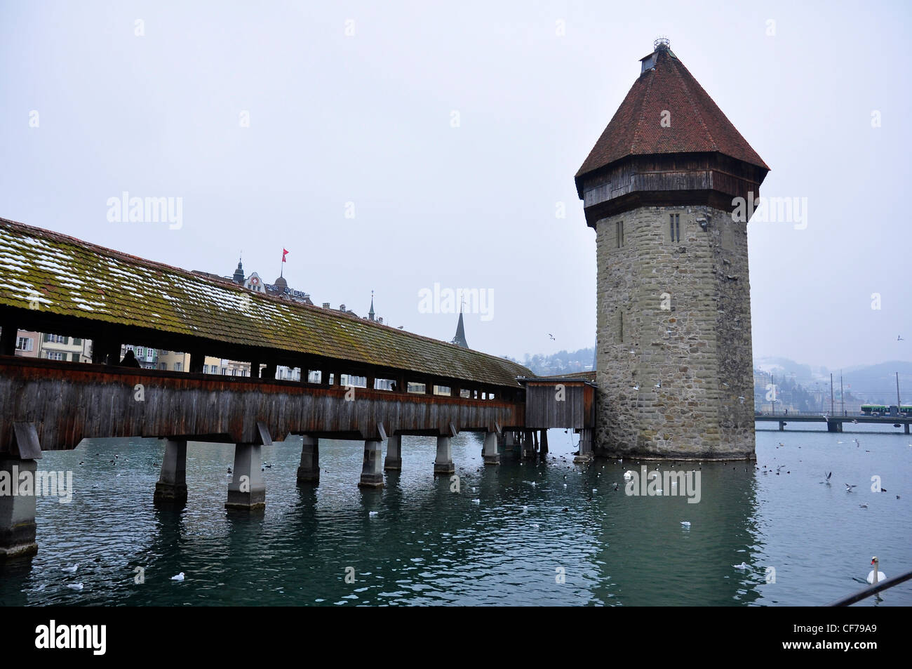 The Chapel Bridge on the lake of lucerne Stock Photo - Alamy