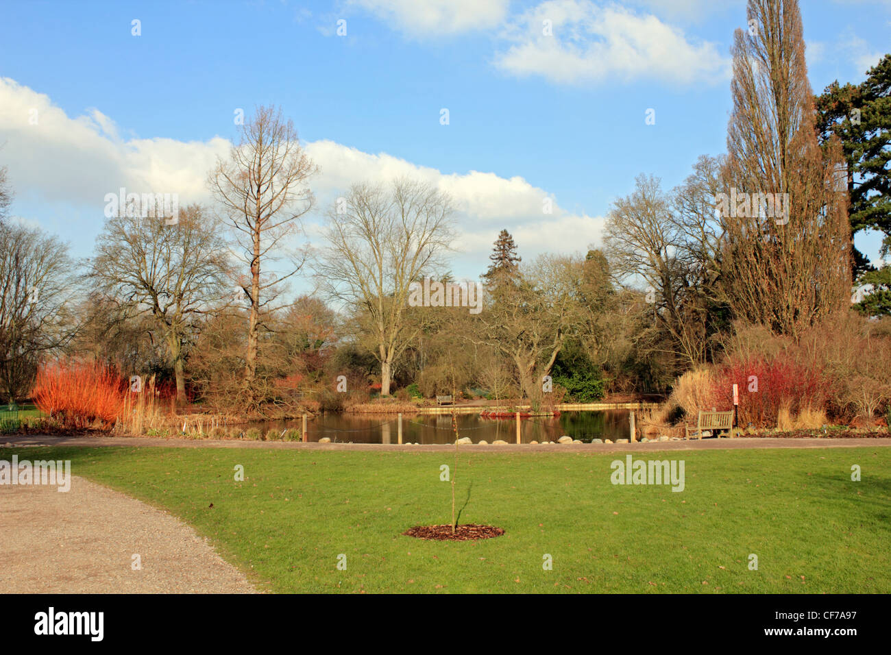 Wisley garden hi-res stock photography and images - Alamy
