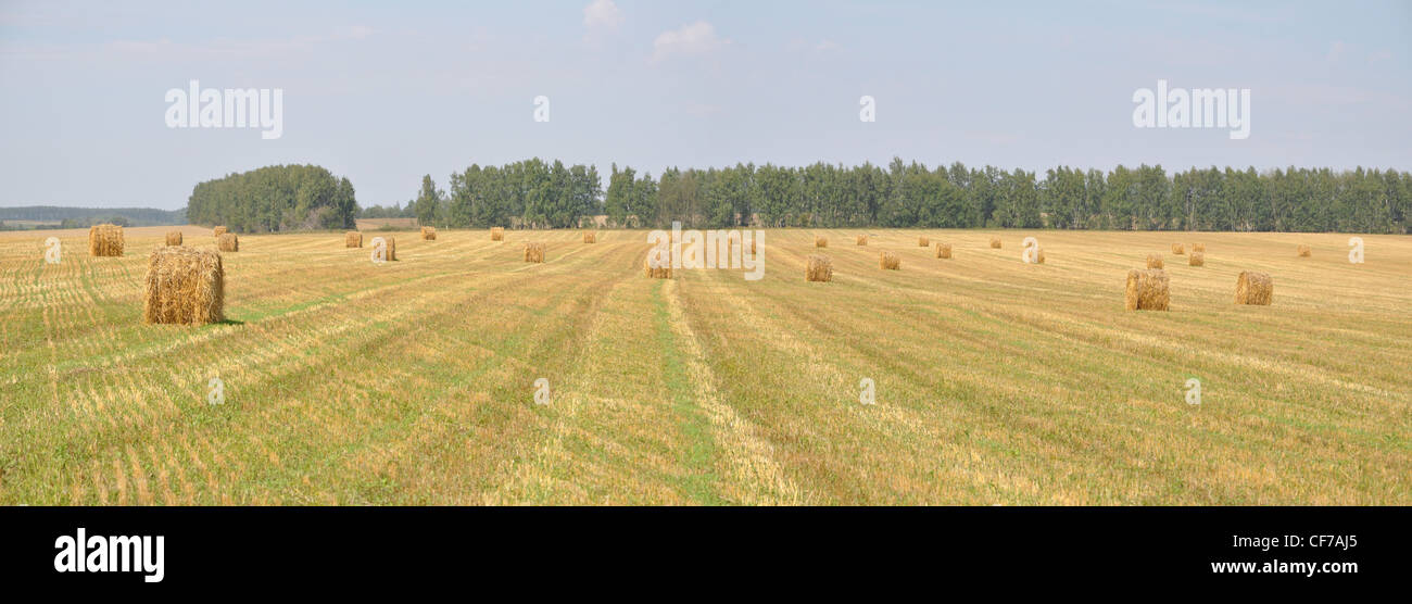 Scenic panoramic view field hi-res stock photography and images - Alamy