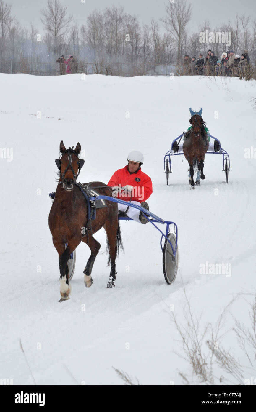 Horse winter harness racing hi-res stock photography and images - Alamy