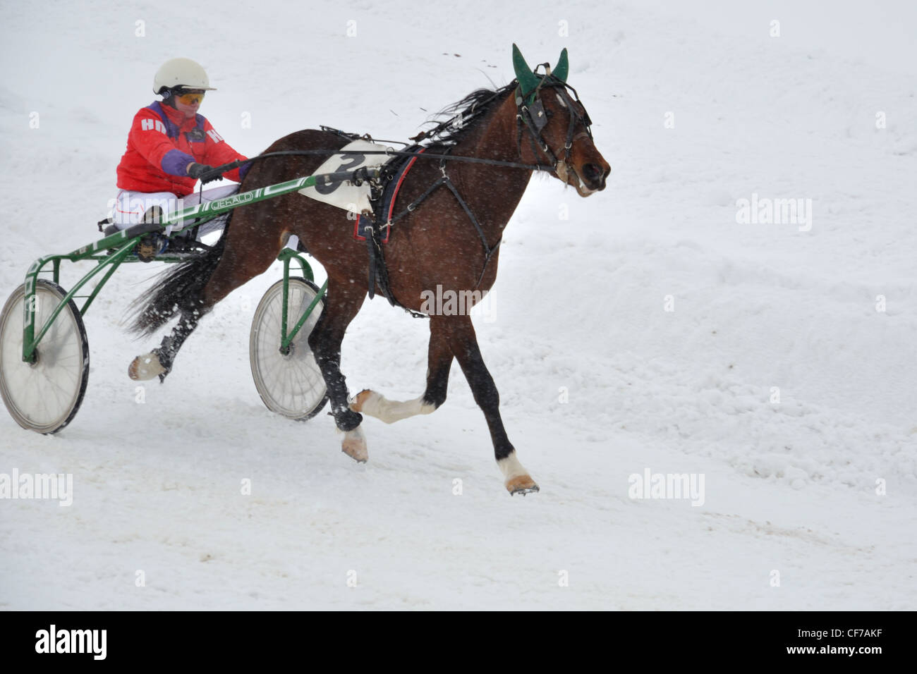 Horse winter harness racing hi-res stock photography and images - Alamy