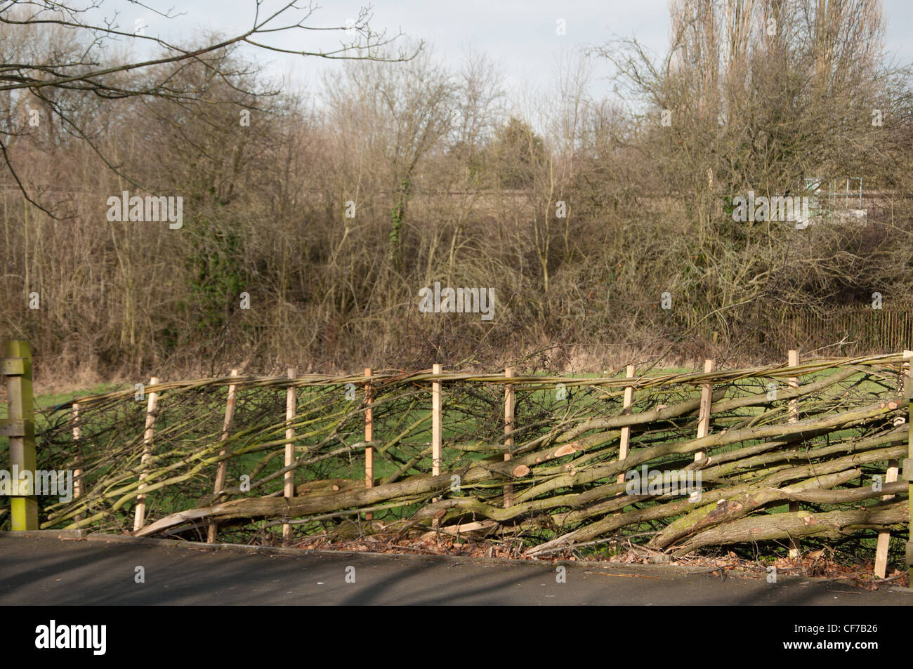 Hedge laying england hi-res stock photography and images - Alamy