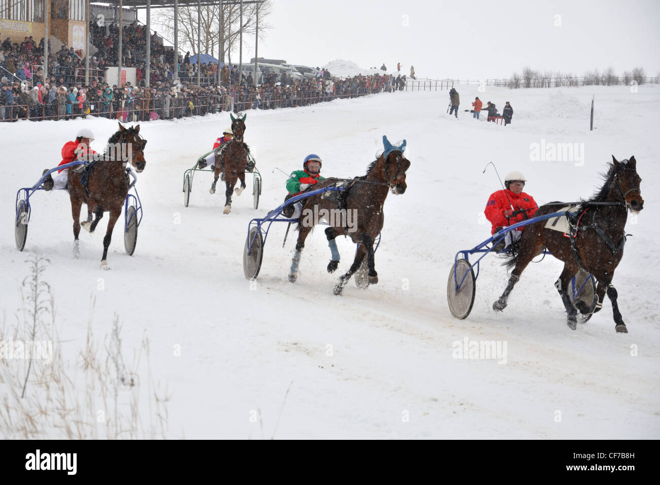 Horse winter harness racing hi-res stock photography and images - Alamy