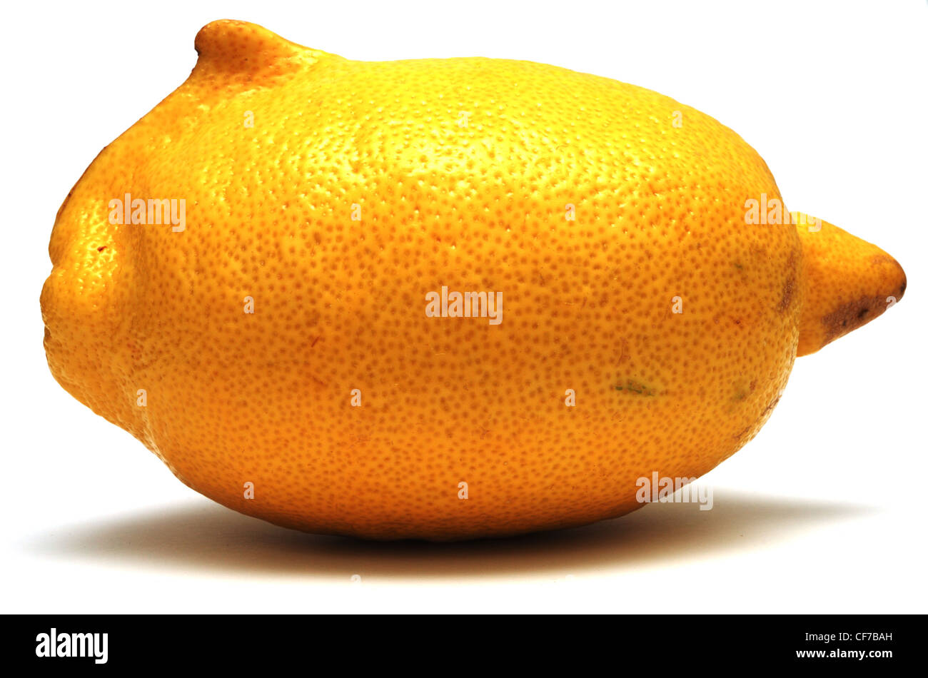 fresh yellow lemon unusual shape on white background Stock Photo - Alamy