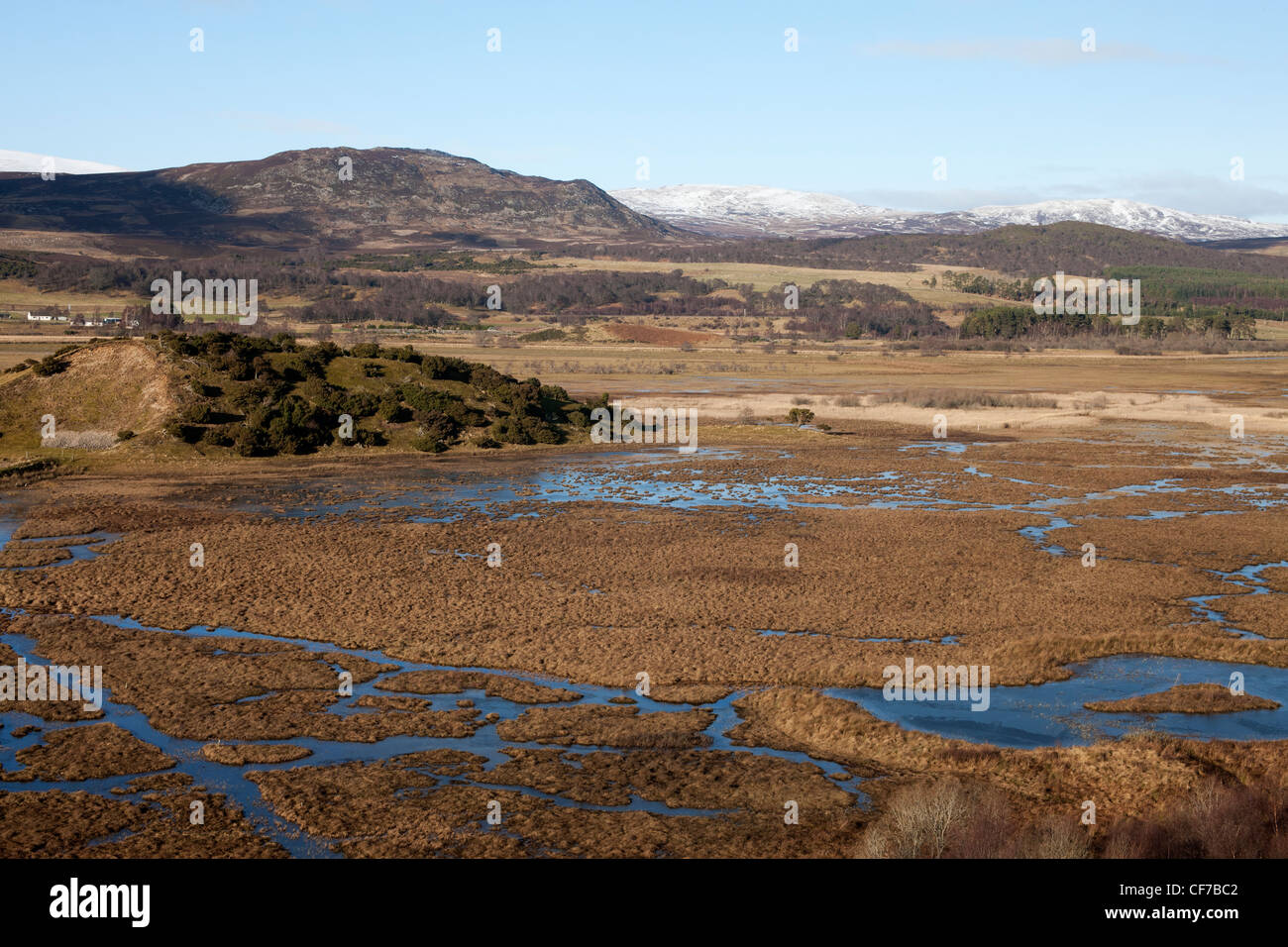 Rspb insh marshes hi-res stock photography and images - Alamy