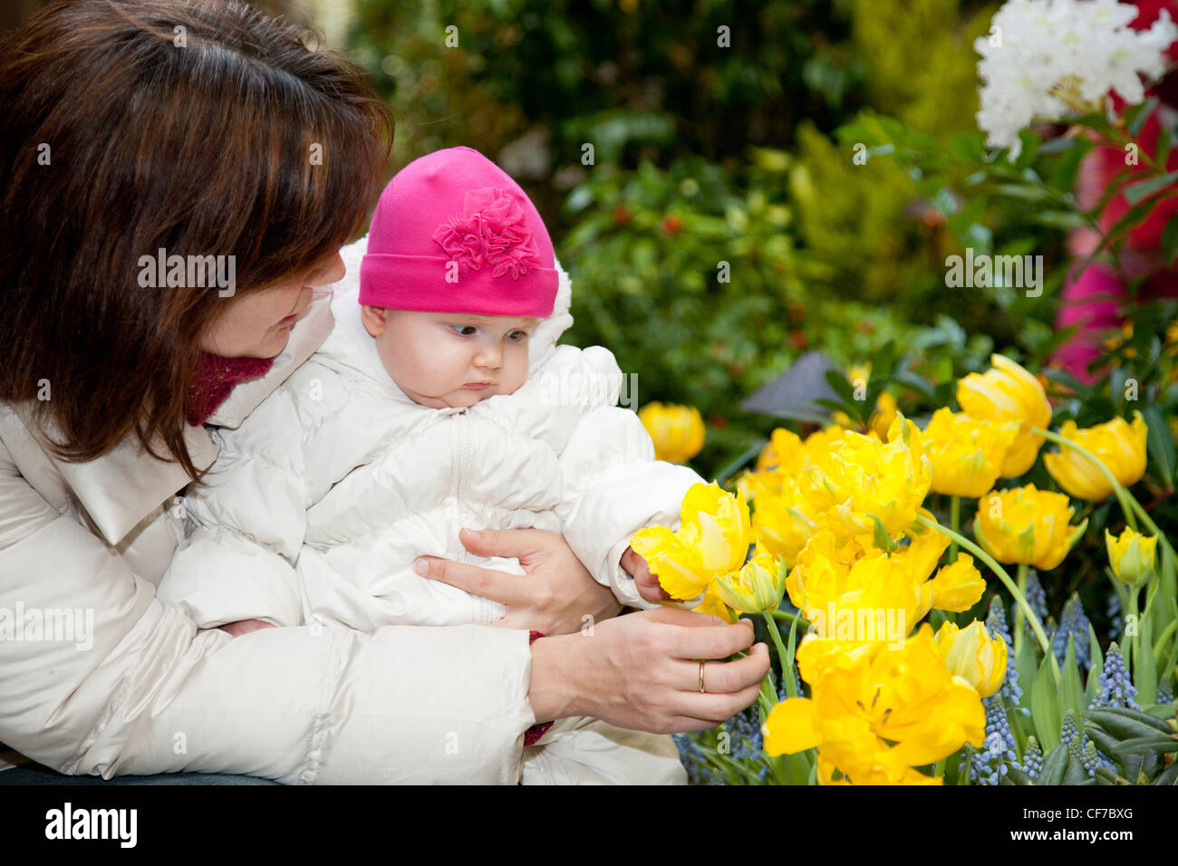Butchart family hi-res stock photography and images - Alamy