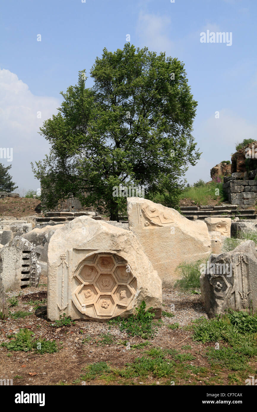 Detail of ruined fallen columns and stone carving The Roman built city ...