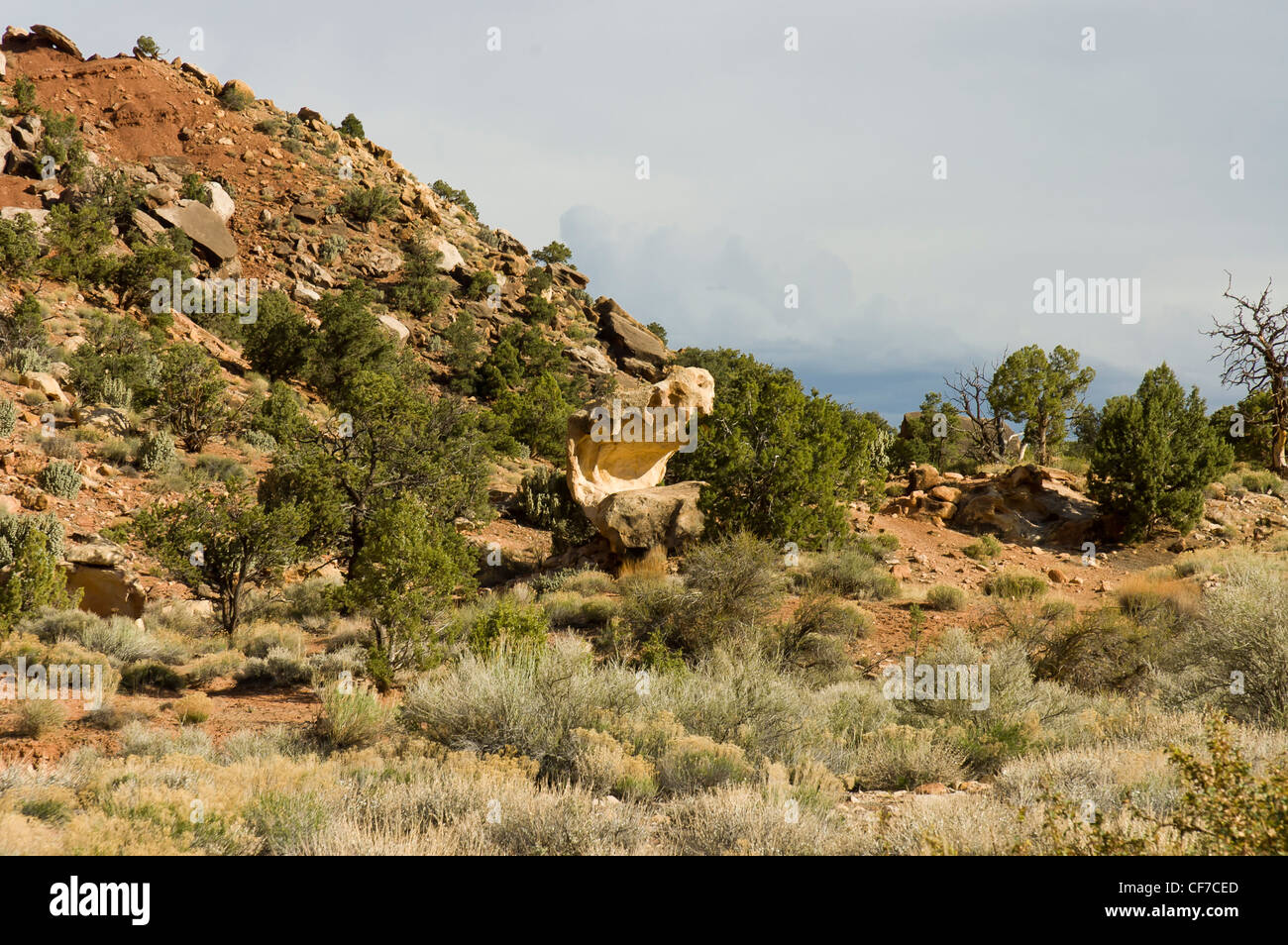 tooth rock formations on Capitol Reef National Park, Utah, USA Stock ...