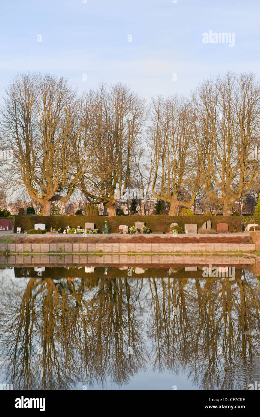 Dutch cemetery with trees and graves Stock Photo - Alamy