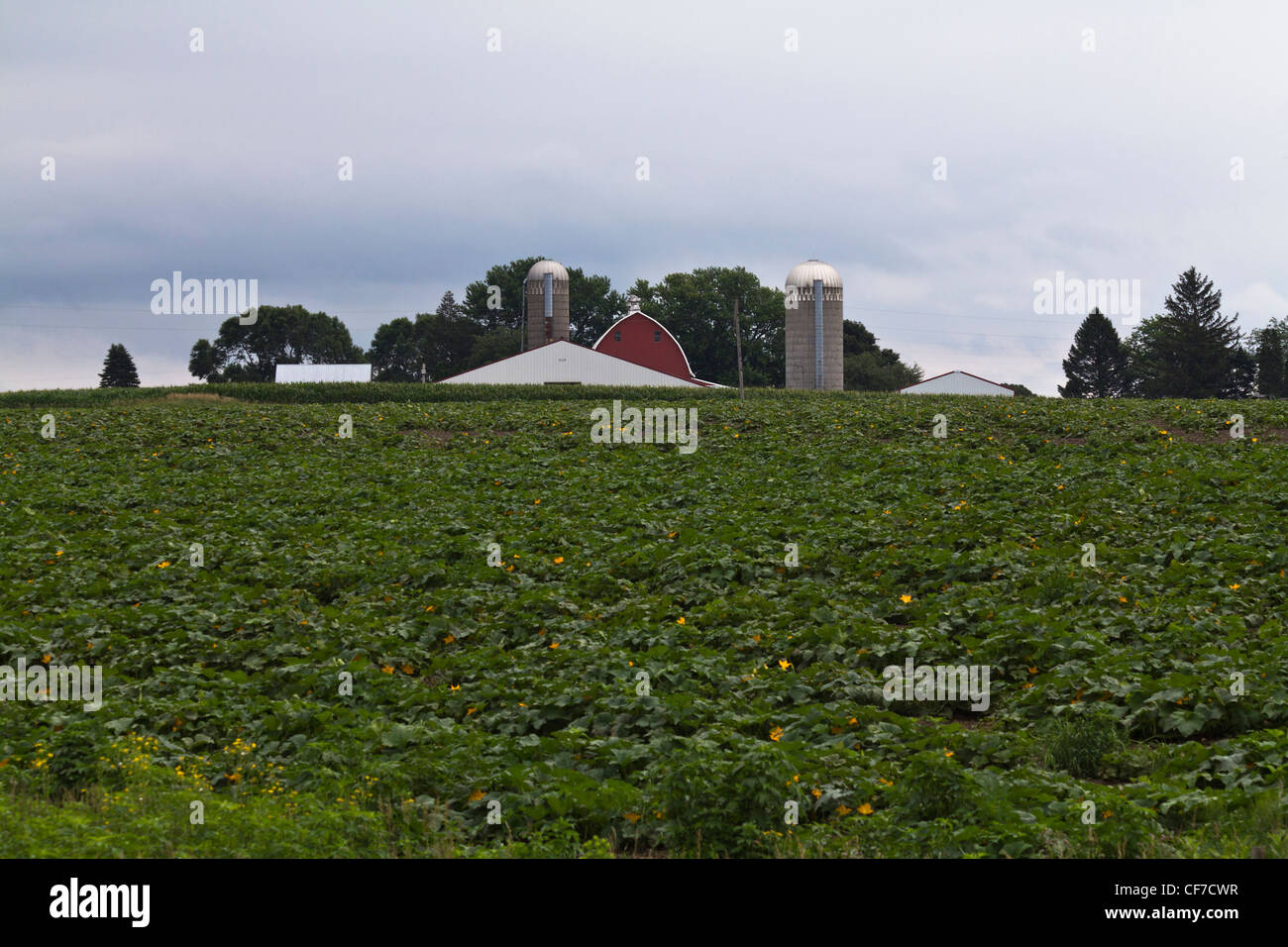 American farmer hi hi-res stock photography and images - Alamy