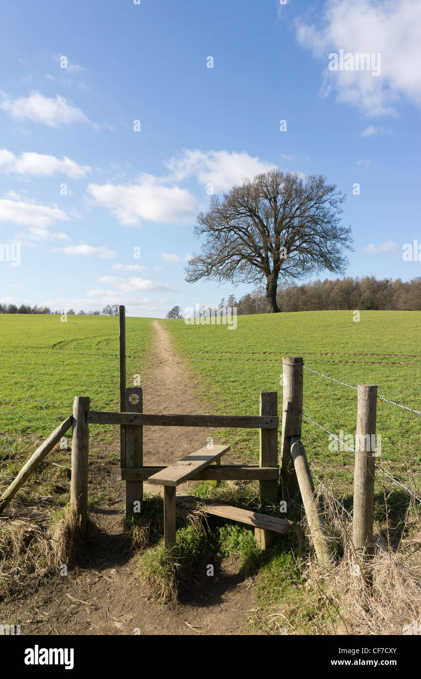 Traditional wooden countryside stile with distant Oak tree under a ...