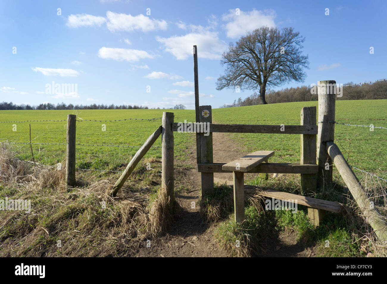 Traditional wooden countryside stile with distant Oak tree under a ...