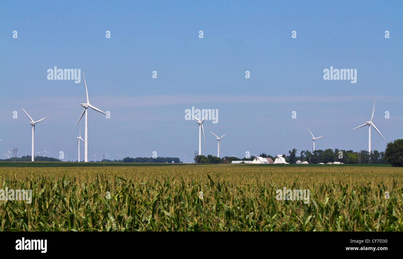 American wind turbines field corn hi-res stock photography and images ...