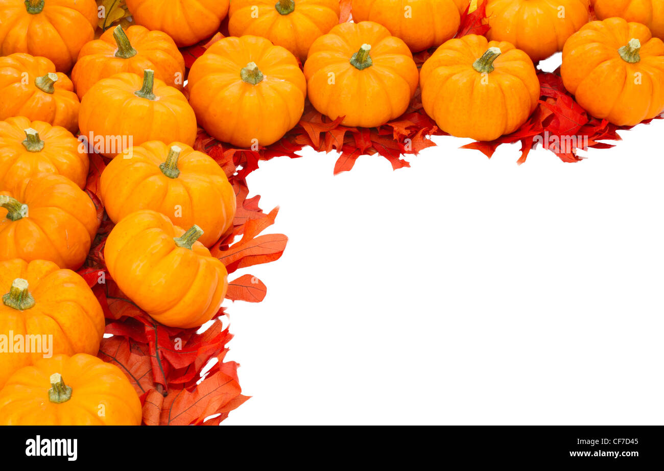Border with pumpkins hi-res stock photography and images - Alamy