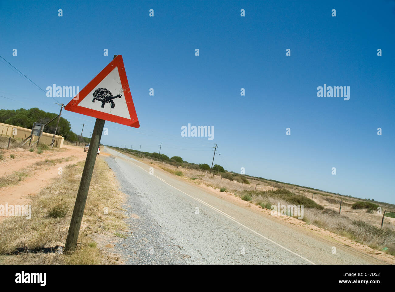 Beware - turtles crossing road sign Stock Photo - Alamy