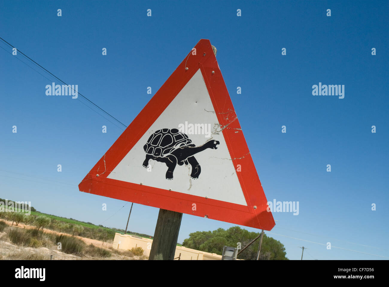 Tortoise warning road sign hi-res stock photography and images - Alamy