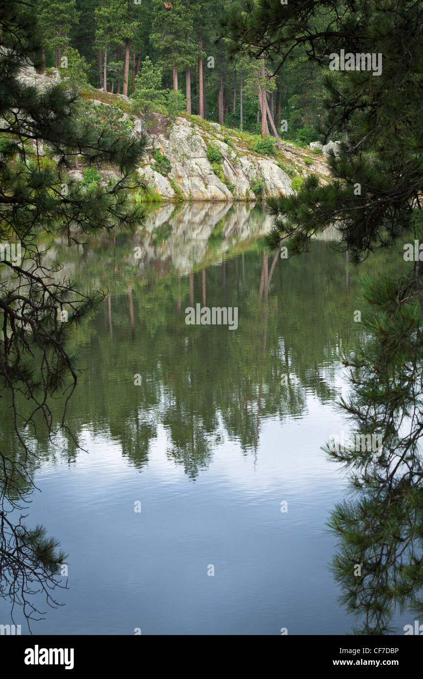 American Black Hills National Forest South Dakota beautiful landscape ...