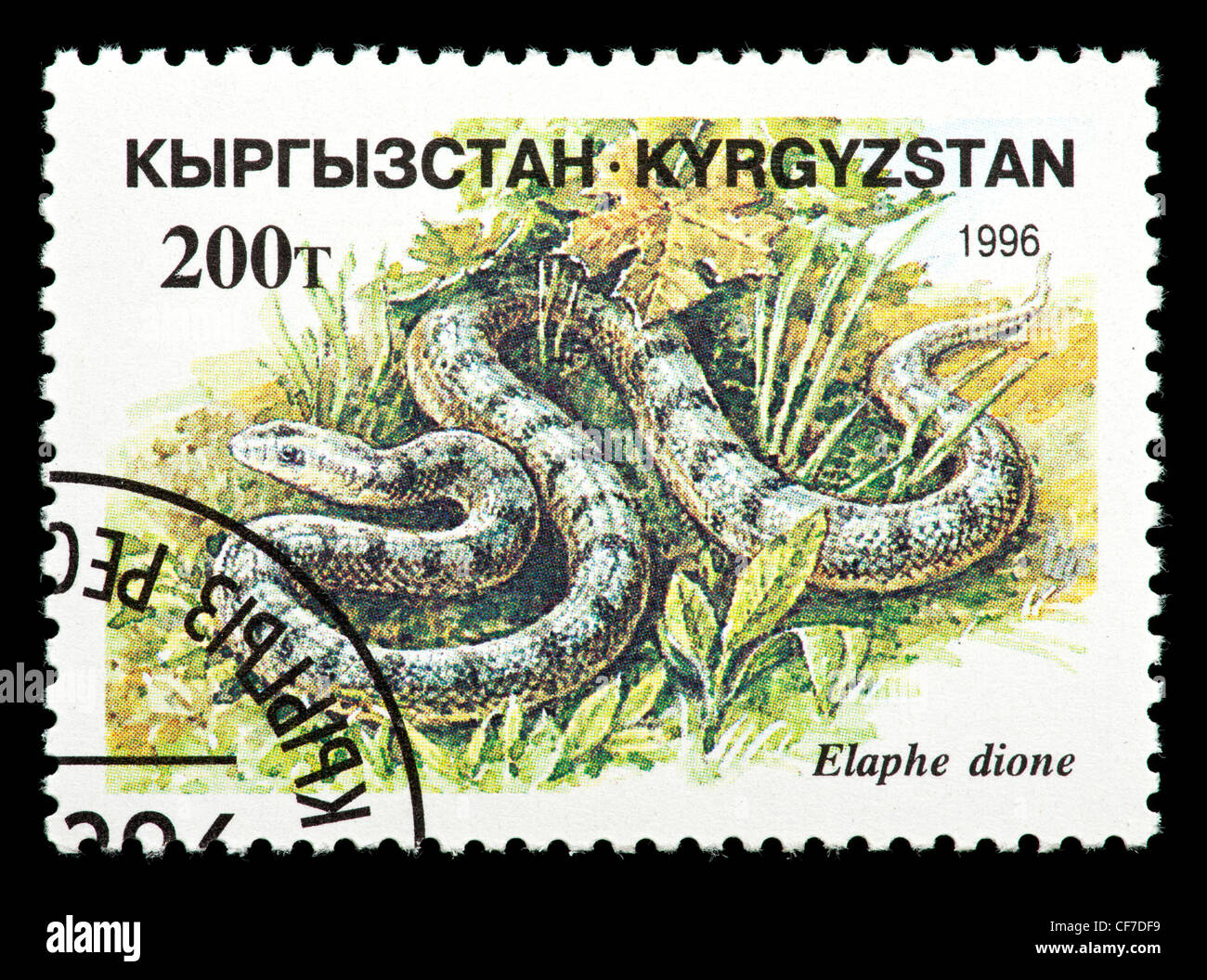 Dione snake hi-res stock photography and images - Alamy