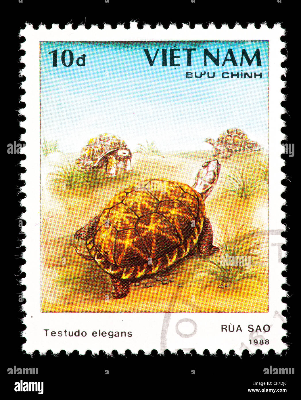 Postage stamp from Vietnam depicting an Indian Star Tortoise (Testudo ...