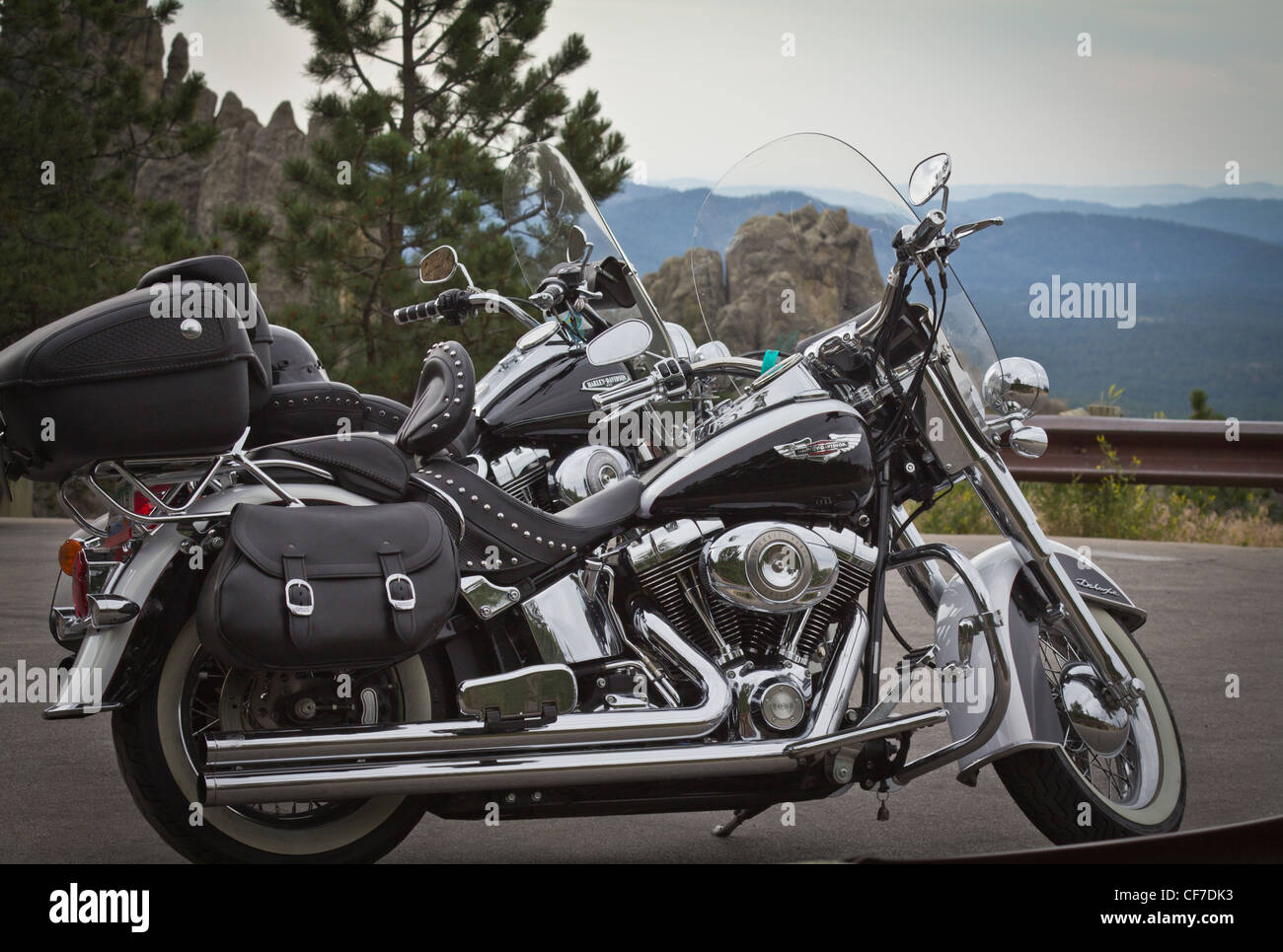 Davidson hi res hi-res stock photography and images - Alamy