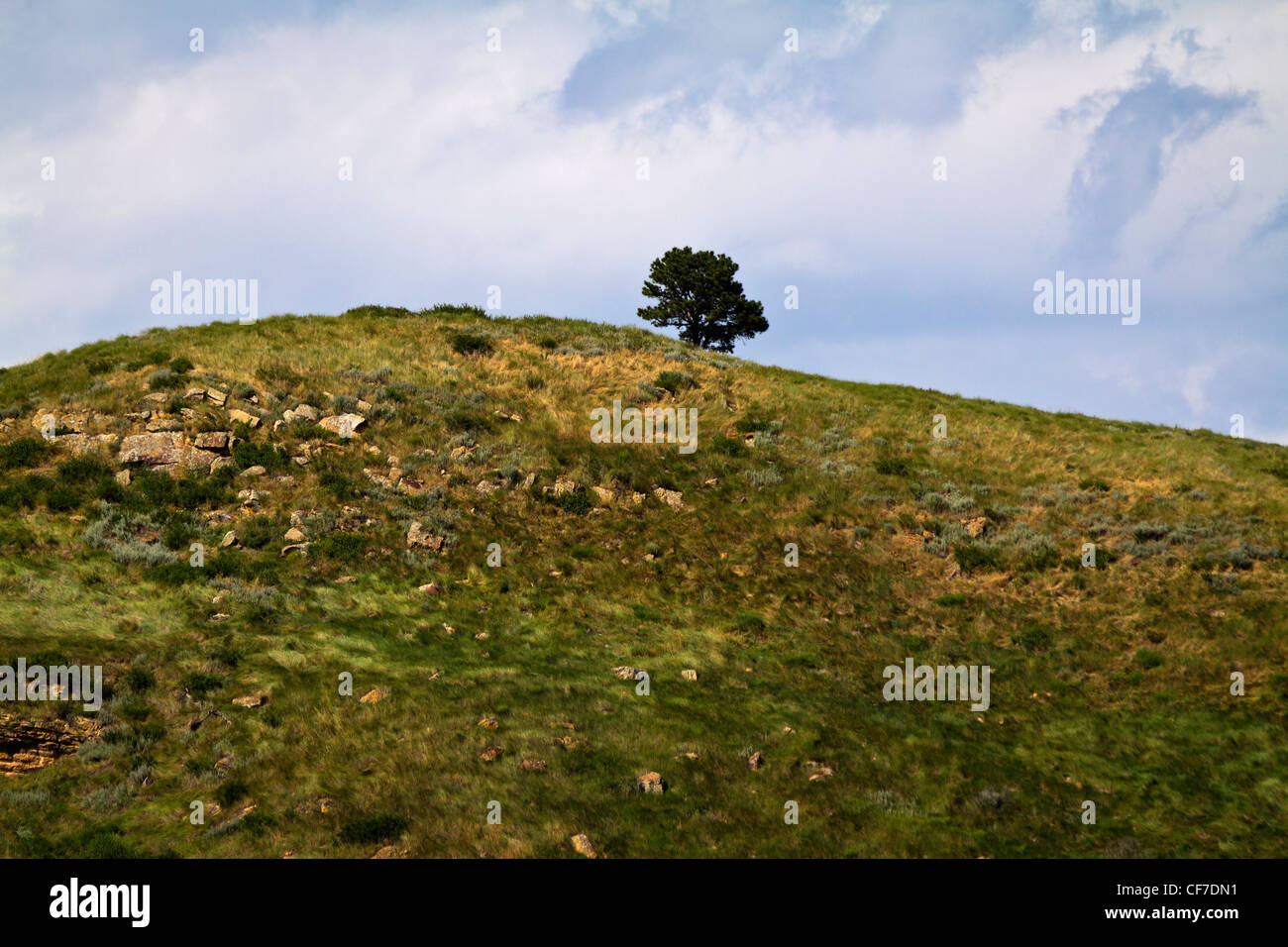 Closeup of the hill South Dakota SD beautiful rural landscape low angle ...