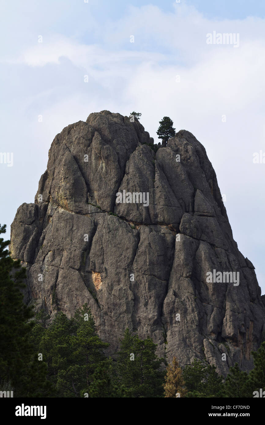 Closeup of rocky mountain side.American Black Hills National Park ...