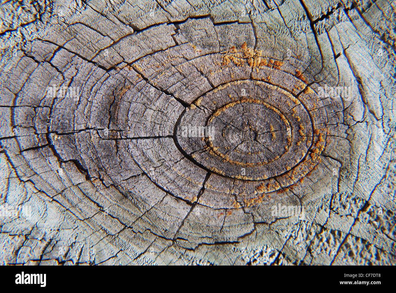 Rough Circle High Resolution Stock Photography and Images - Alamy