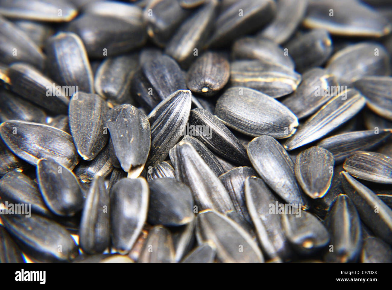 Crunchy shell hi-res stock photography and images - Alamy