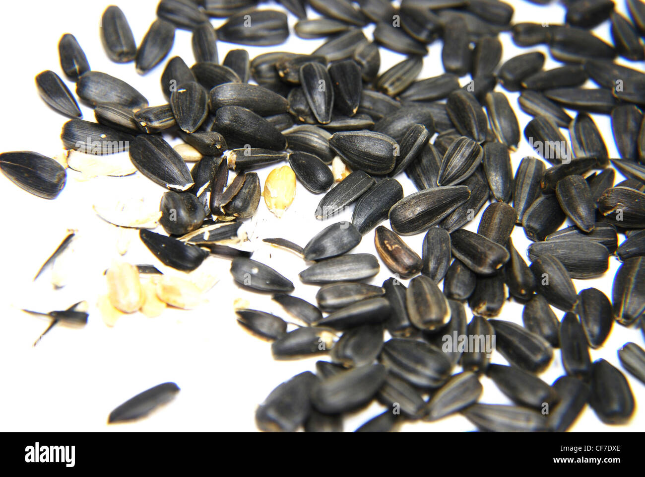 Forage pile hi-res stock photography and images - Alamy