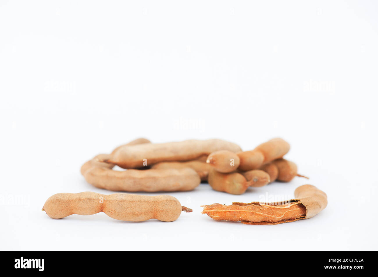 Tamarindus indica . Tamarind fruit / seed pods on white background ...