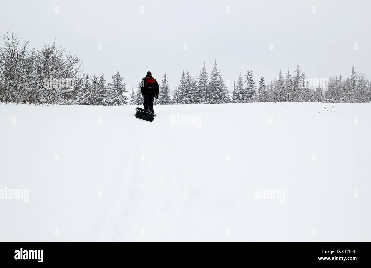 Person pulling a sled through the snow in a snow storm towards some ...