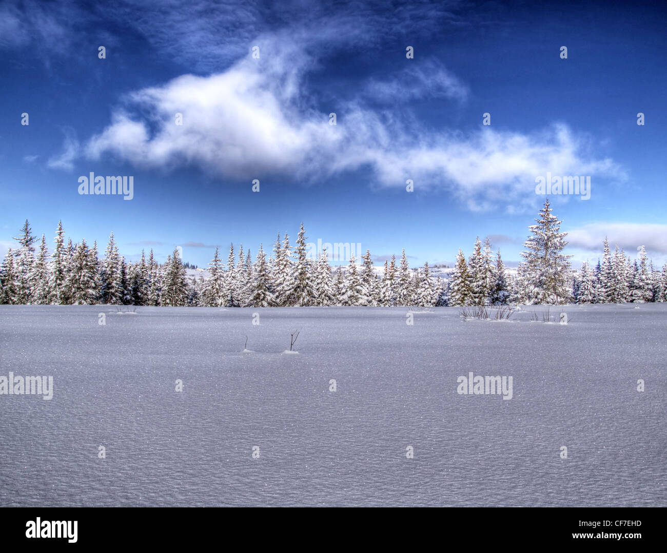 Broad blue sky hi-res stock photography and images - Alamy