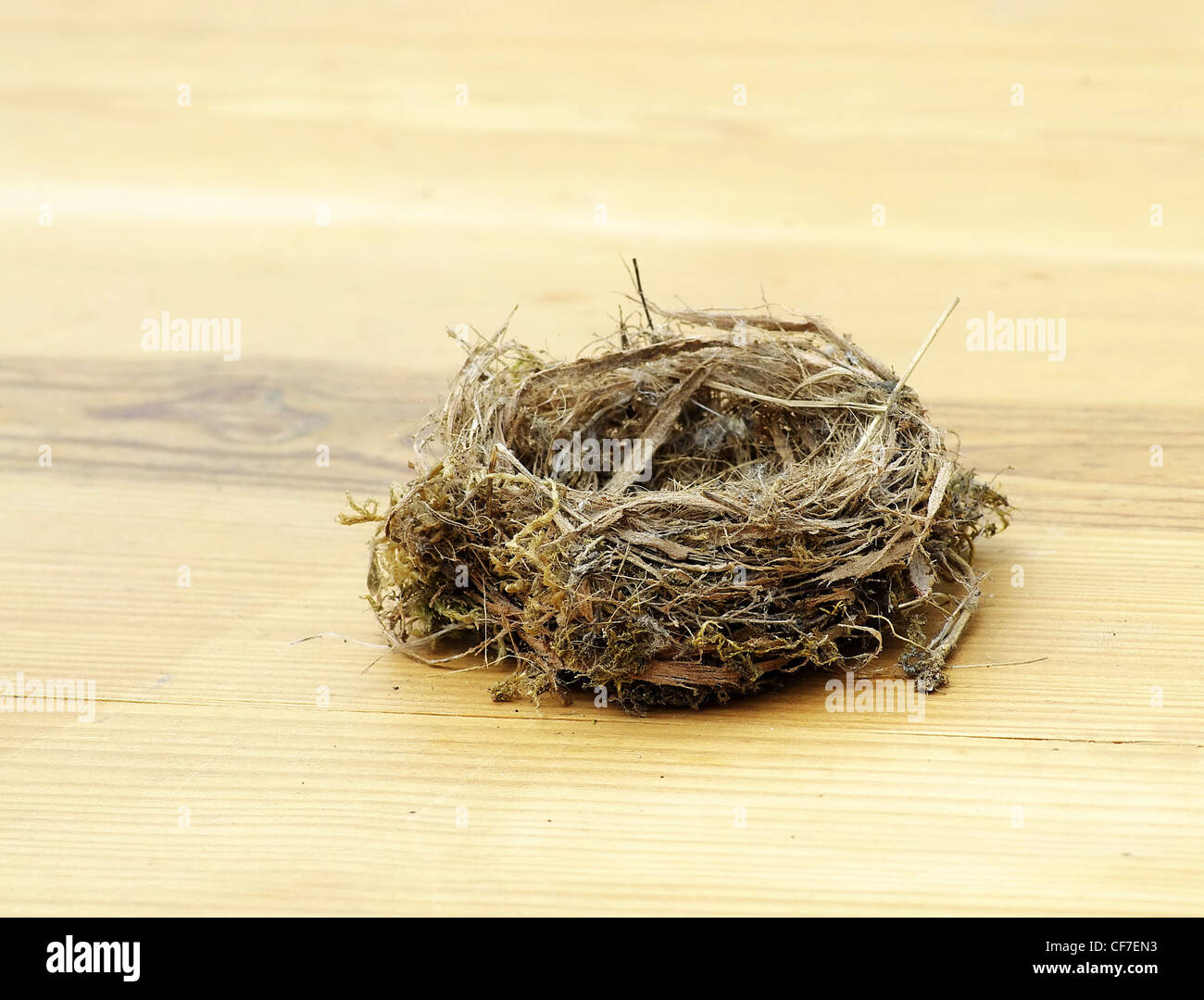 Empty nest hi-res stock photography and images - Alamy