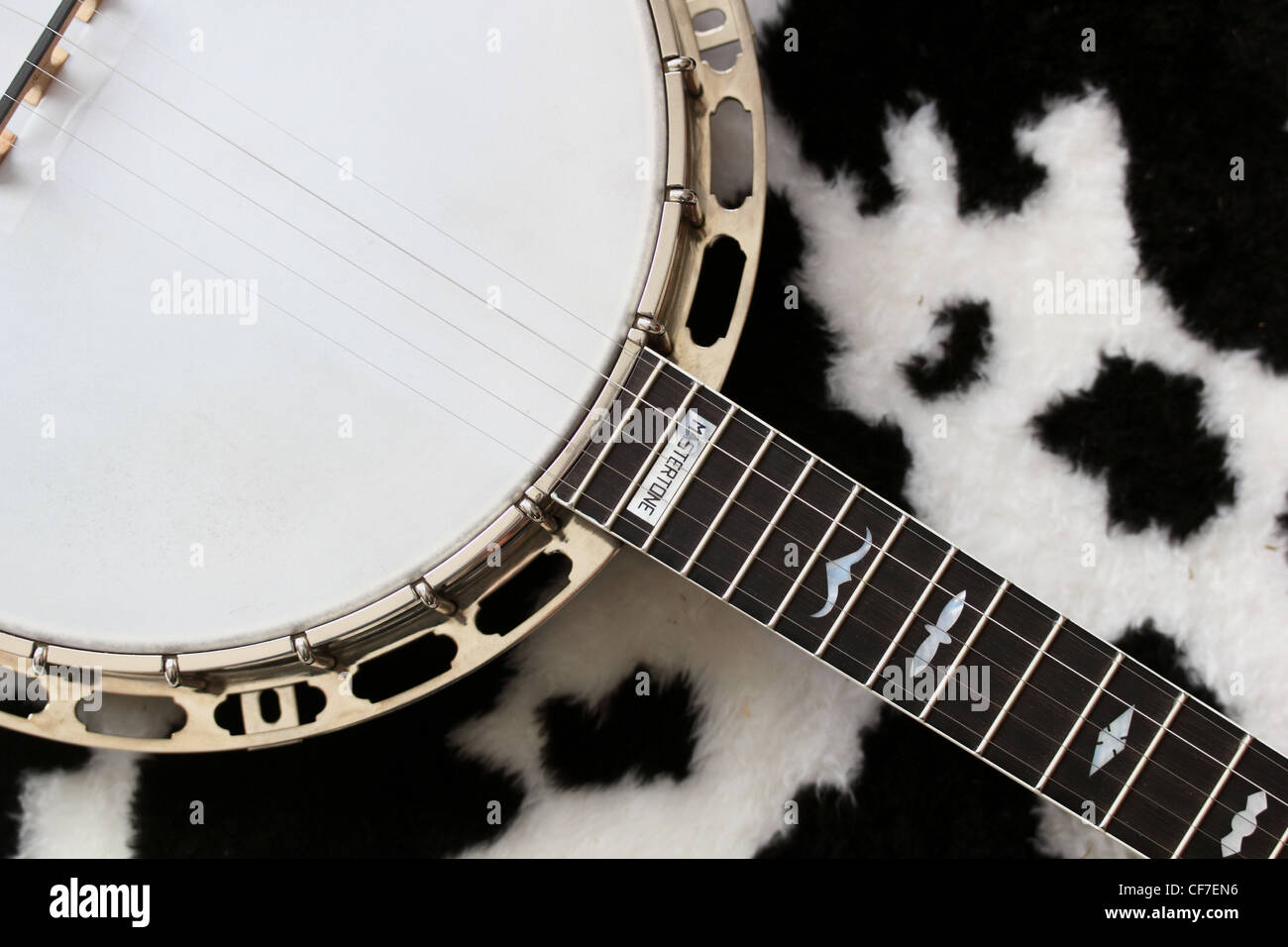 BANJO ON BLACK AND WHITE COWHIDE BACKGROUND BDB Stock Photo - Alamy