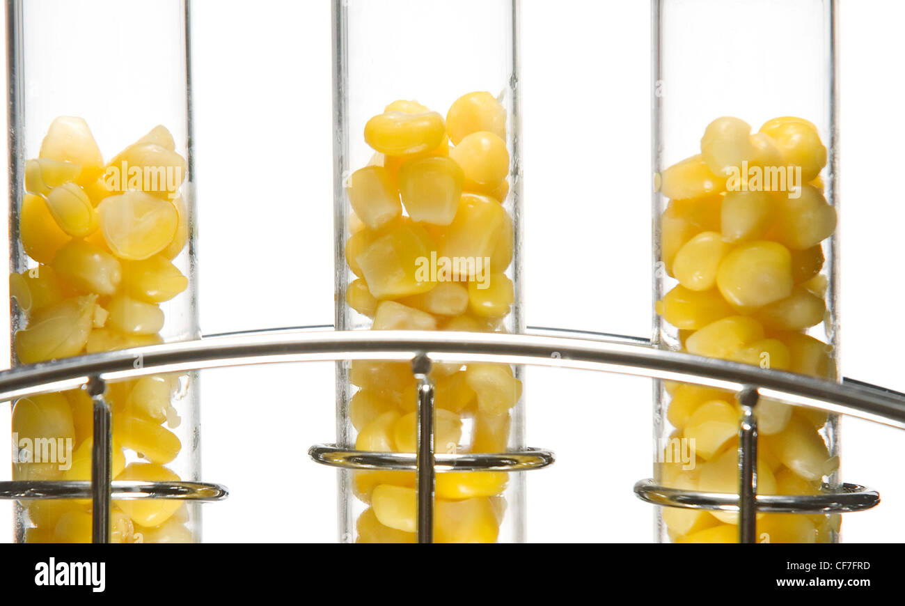Sweetcorn kernals in glass test tubes in a chrome stand Stock Photo - Alamy