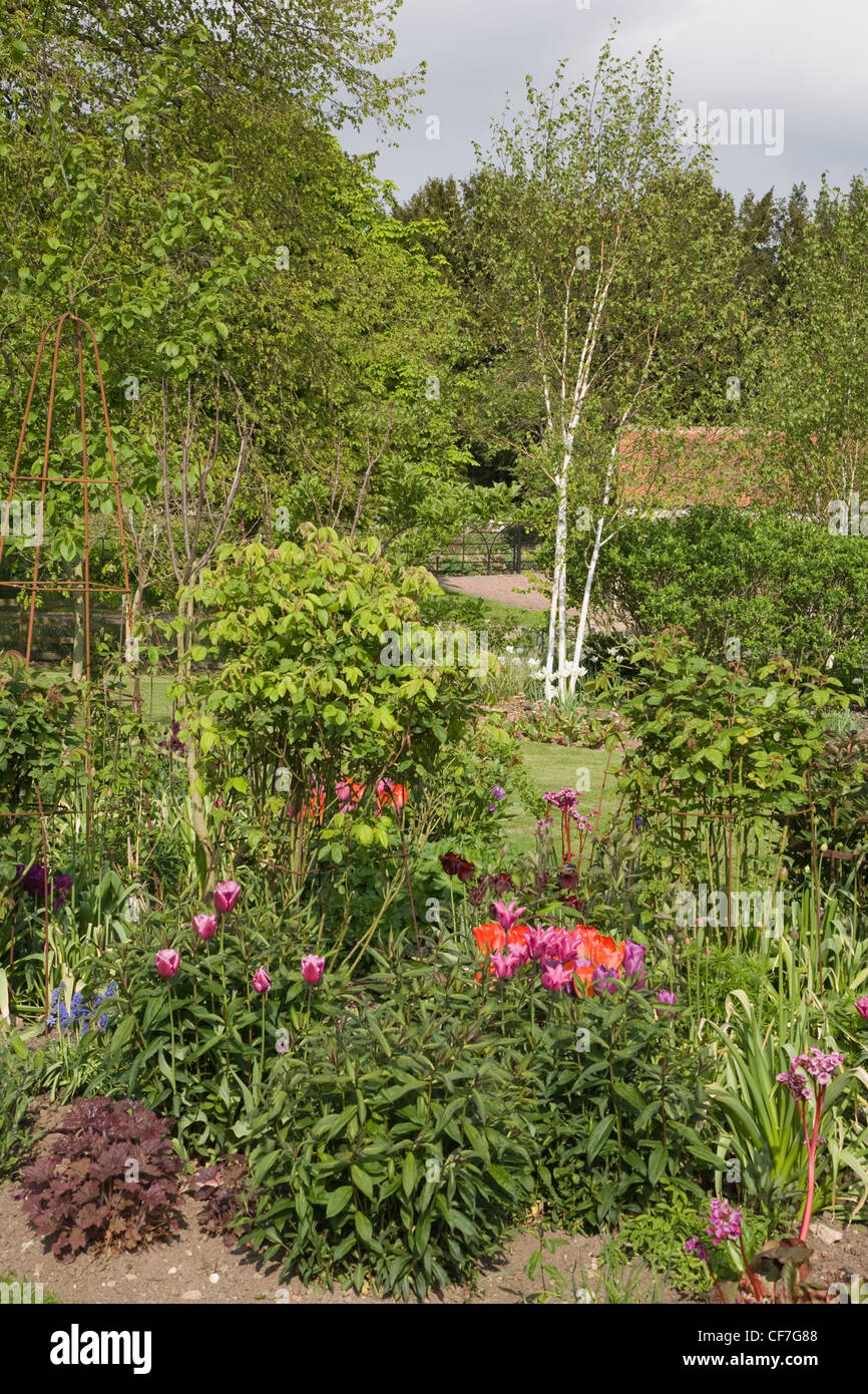 Other flower hi-res stock photography and images - Alamy