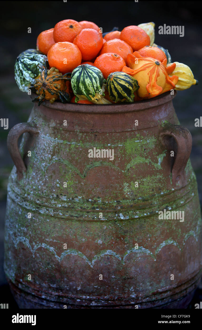 British bunny hi-res stock photography and images - Alamy