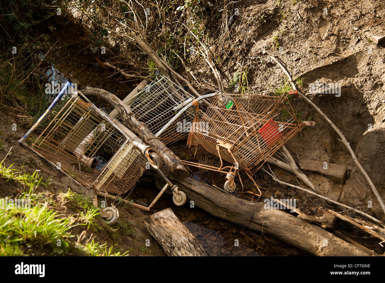 three rusty rusting dumped discarded shopping trolleys in a muddy ditch ...