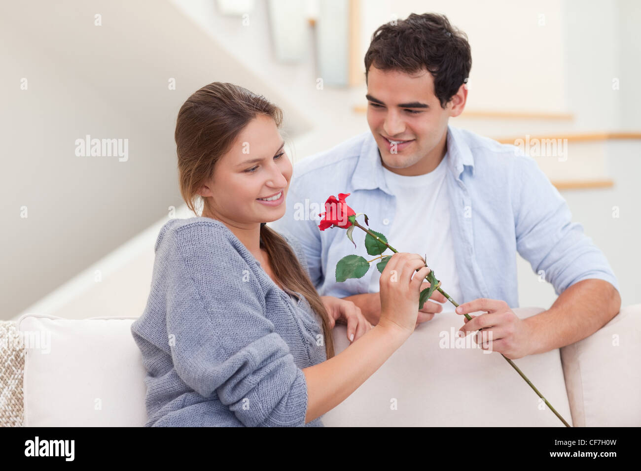 Man offering a rose to his fiance Stock Photo - Alamy