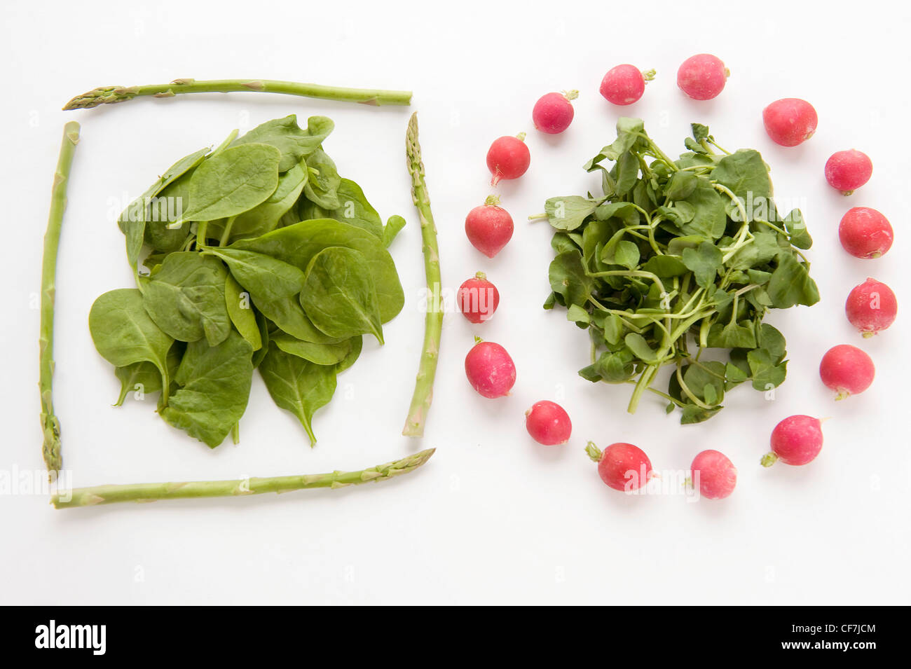 A still life image of spinach leaves, watercress, radishes arranged in ...