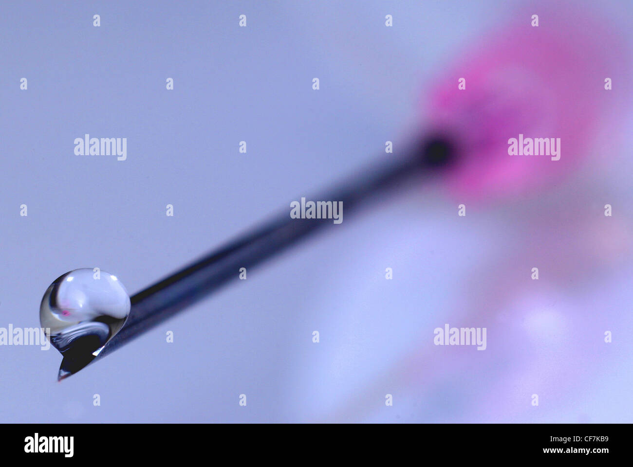 A close up of a syringe with a large needle attached to it, with a ...
