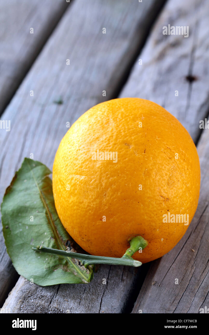 Piece lemon mint leaf hi-res stock photography and images - Alamy