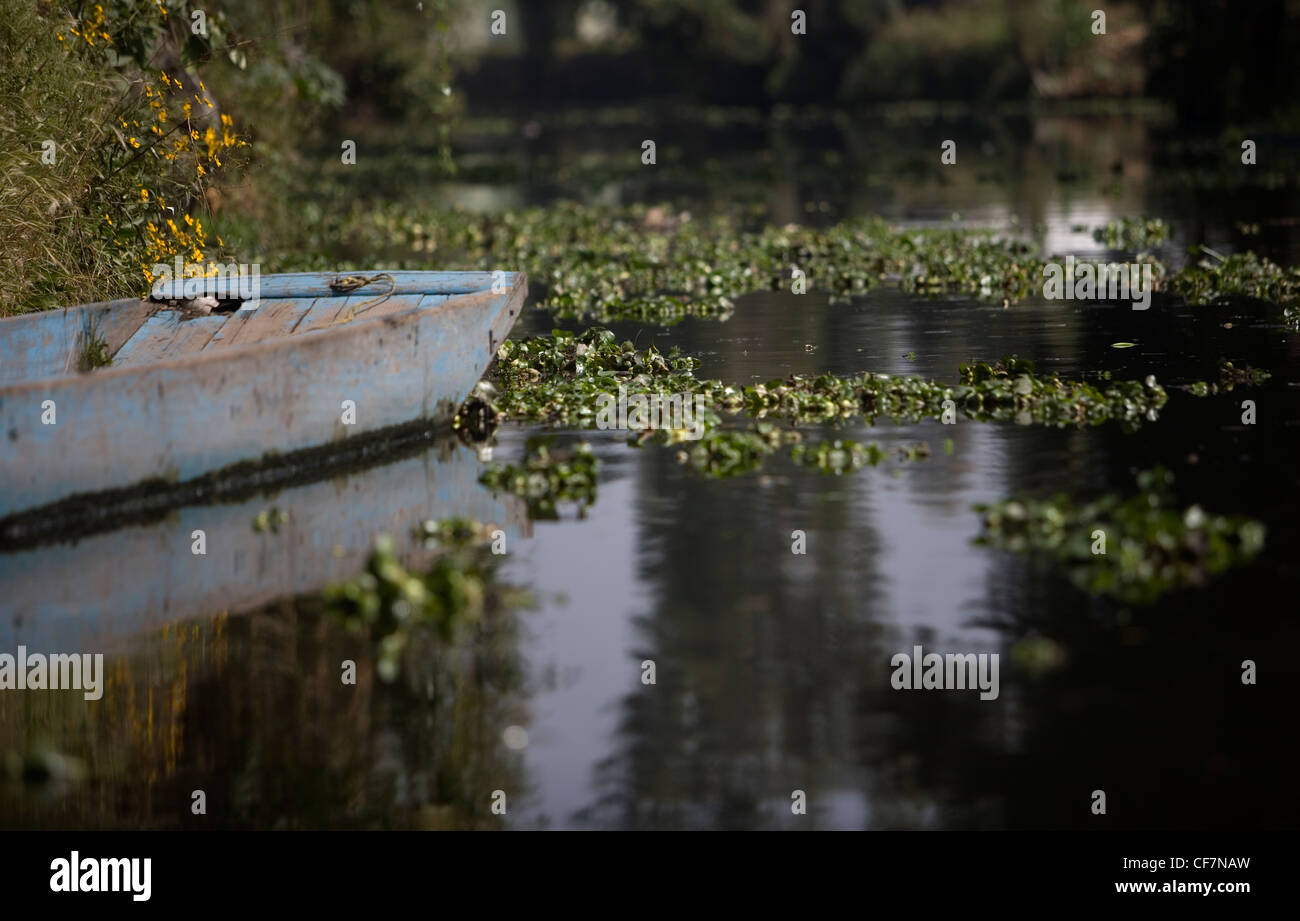 A boat in the water canals of Xochimilco on the south side of Mexico ...