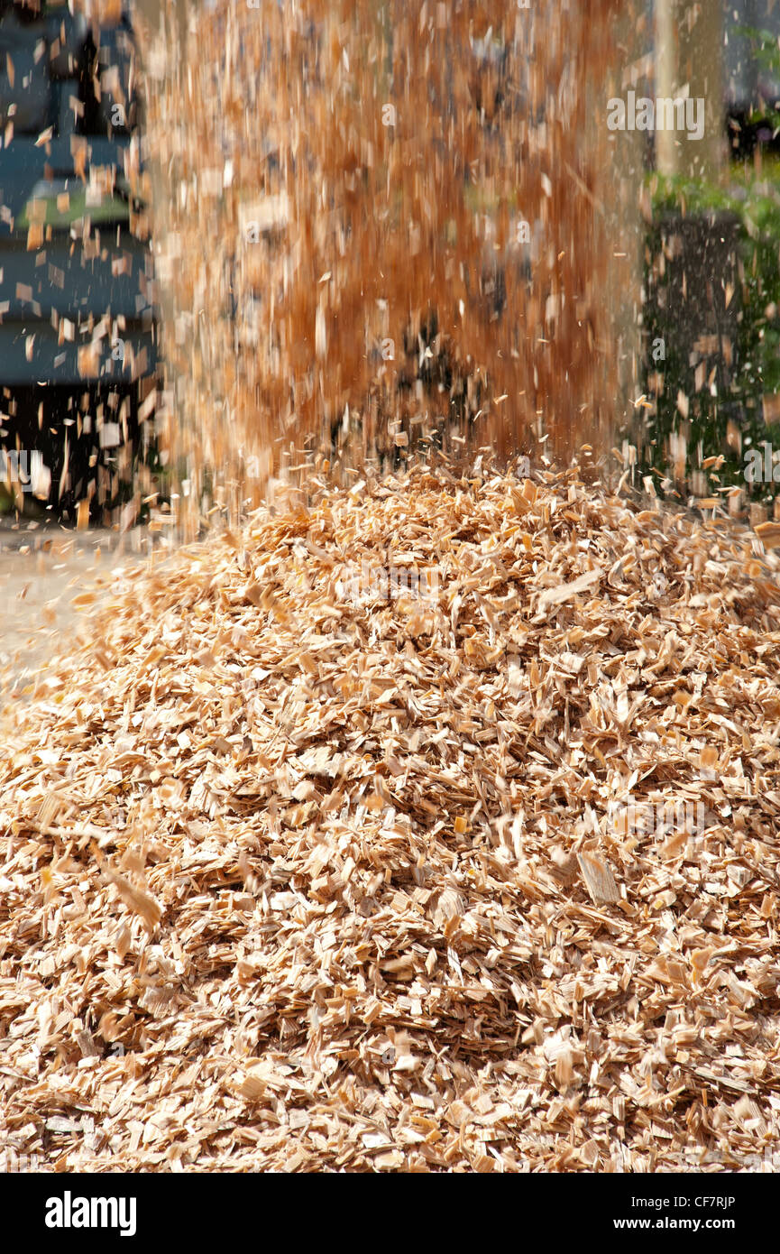 Wood chips being dumped into a pile Stock Photo - Alamy