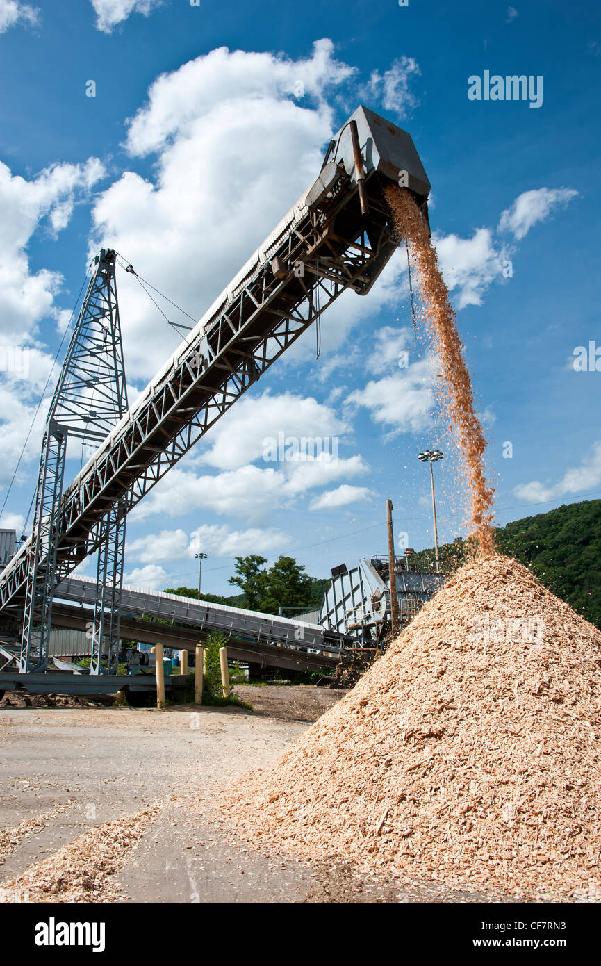 Wood chips being dumped into a pile Stock Photo - Alamy